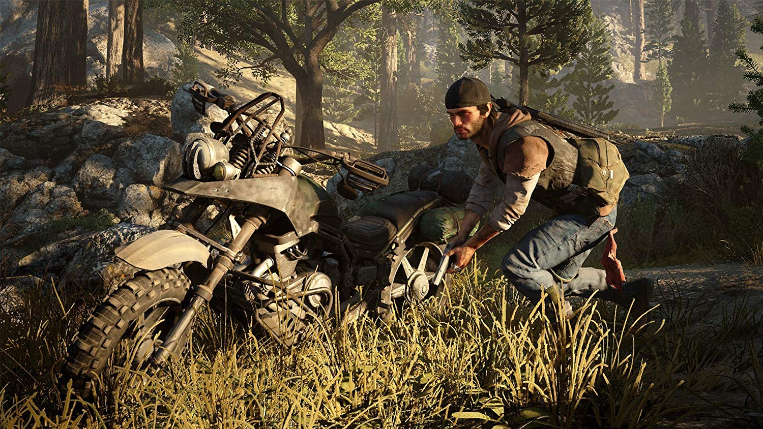 Days Gone [Collector's Edition] {PlayStation 4}